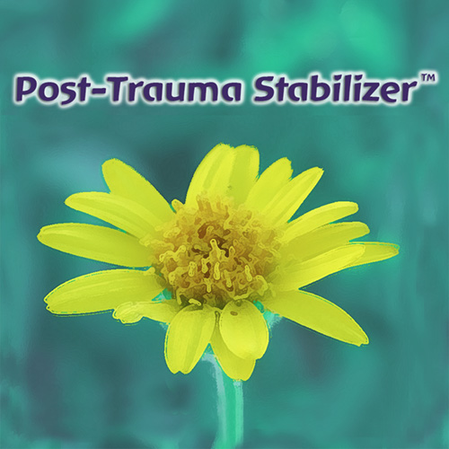 Post-Trauma Stabilizer | Flower Essence Services